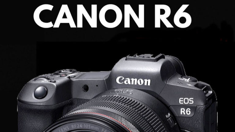 Best Lenses for Canon EOS R6 - Best Camera News